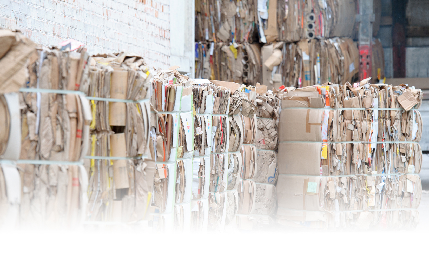 Waste Disposal Compliance - EcoVida Waste Management Consulting ...